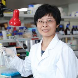 Faculty | FAFU-UCR HBMC